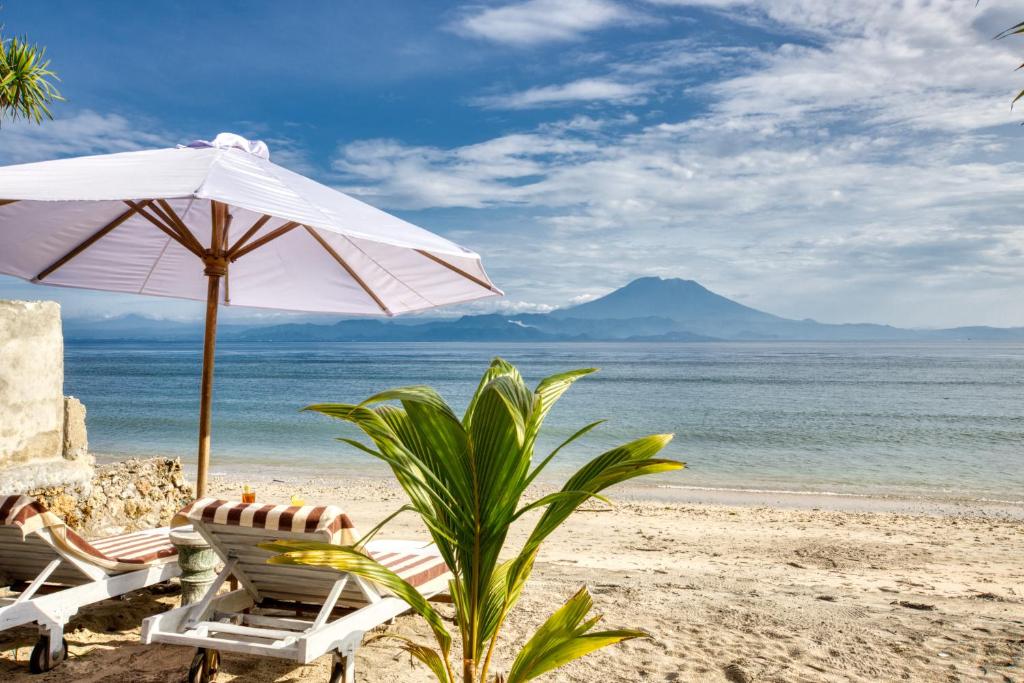 The Ultimate Guide for The Most Beautiful Places on Nusa Penida - Canggu's