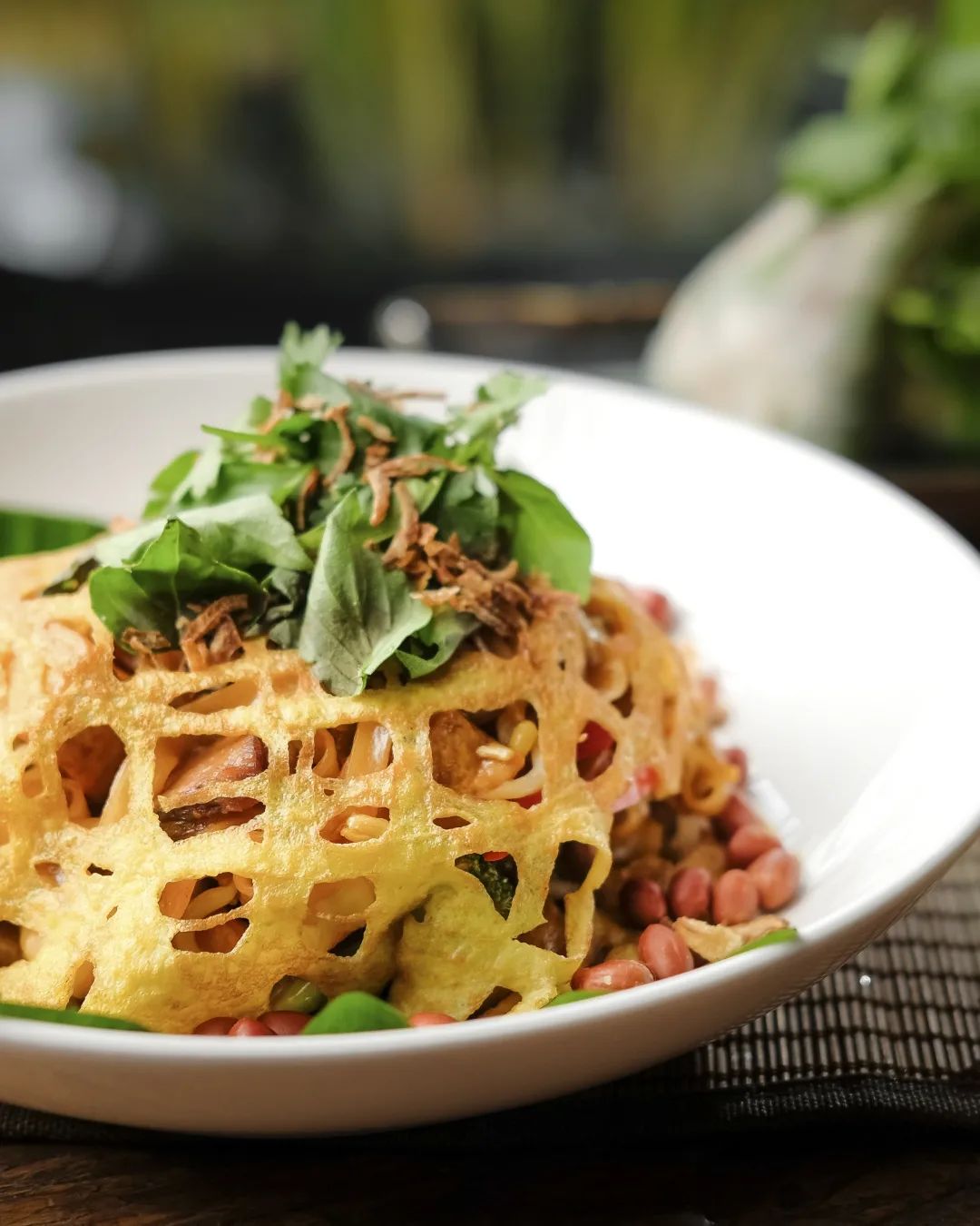 Ginger Moon, Hot Spot Modern Restaurant in Seminyak - Canggu's
